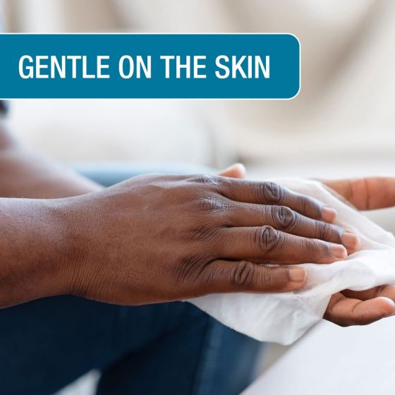 HealthSmart H+S Flushable Wipes Soft Pack 60/Pack 1Ct