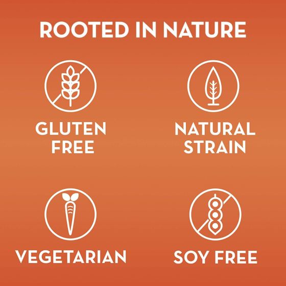 Align Probiotics Supplement 4mg 28Ct