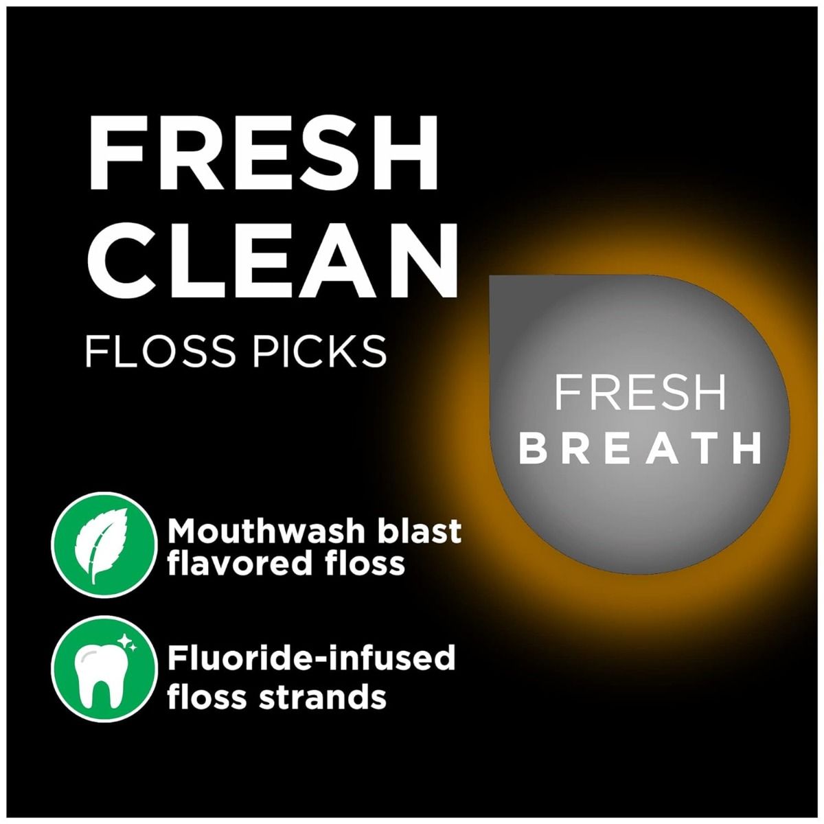 Dentek Fresh Clean Floss Picks 75Ct