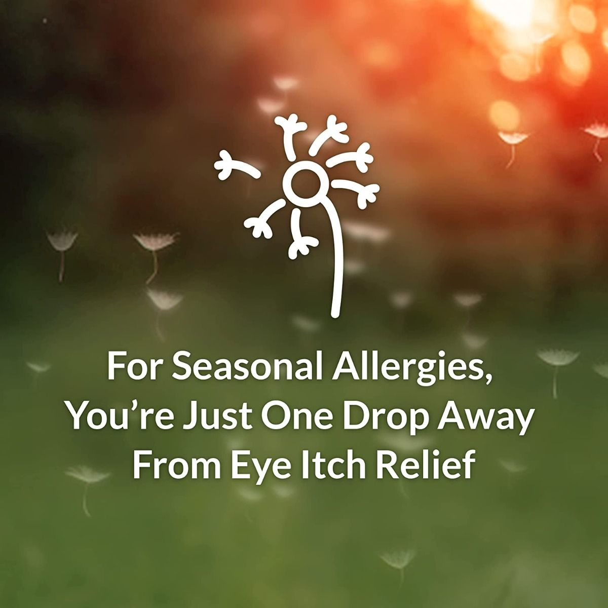 Alaway Antihistamine Eye Drops 0.34oz 1Ct