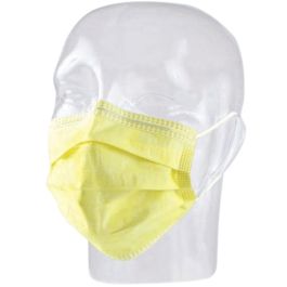 Precept Level 1 Procedure Face Mask 500Ct